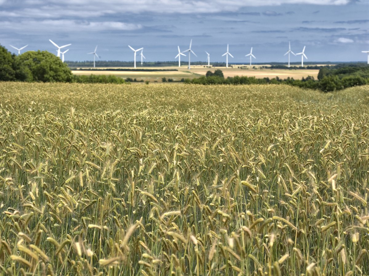 Vindmøller ved Overgaard gods - Randers Kommune - Ole Jakobsen