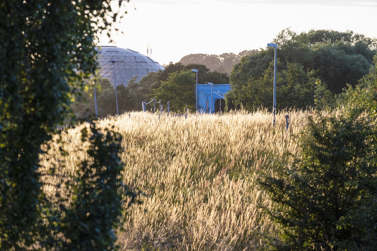 Den Blå Bro og Randers Regnskov ved Gudenåen i Randers - Randers ...